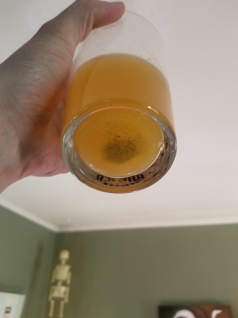 Hop particles in hazy ipa - Beer Recipe Design - Northern Brewer Forum